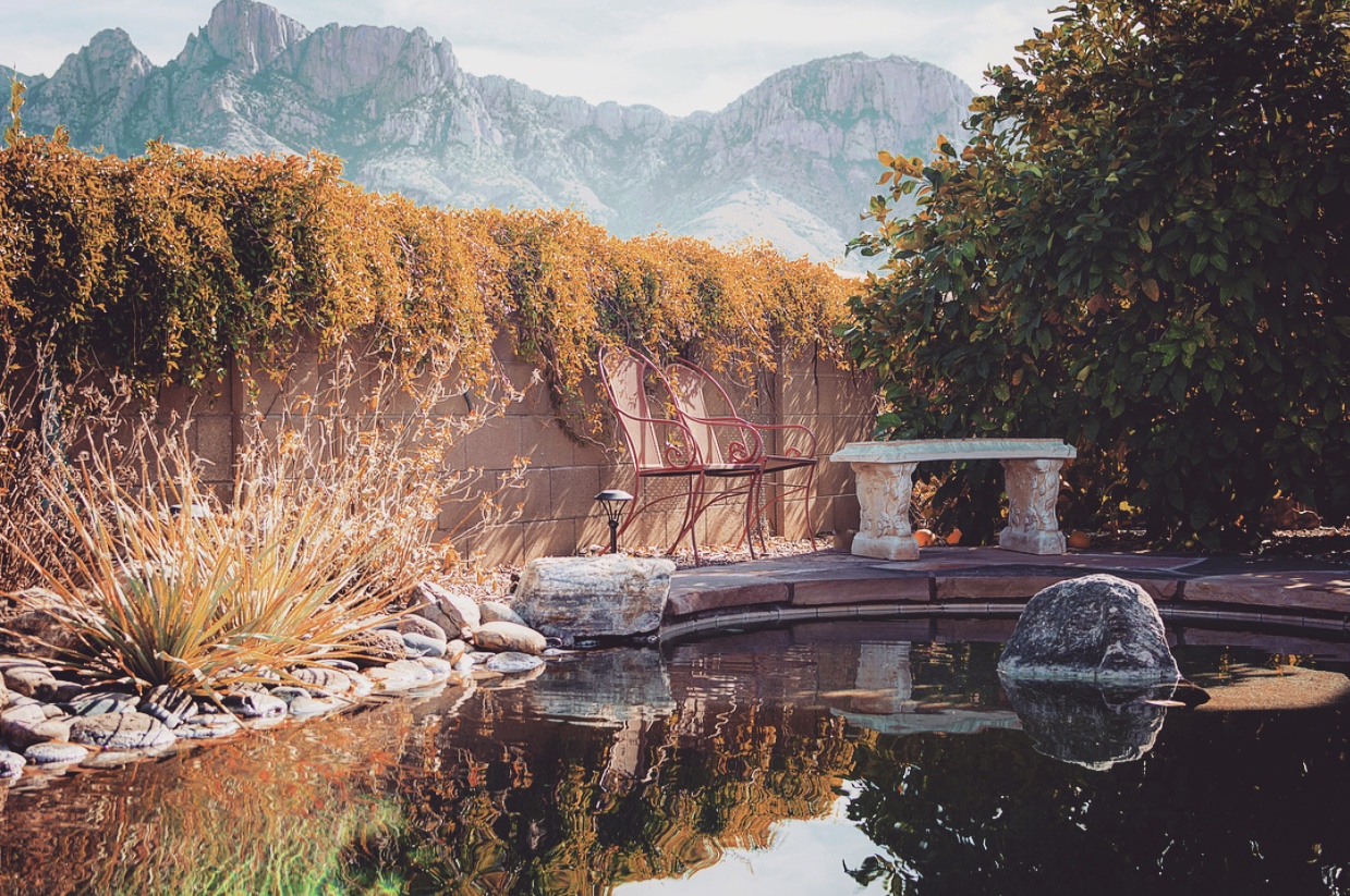 Pool Designs | Arizona | TMC Custom Pools and Renovations