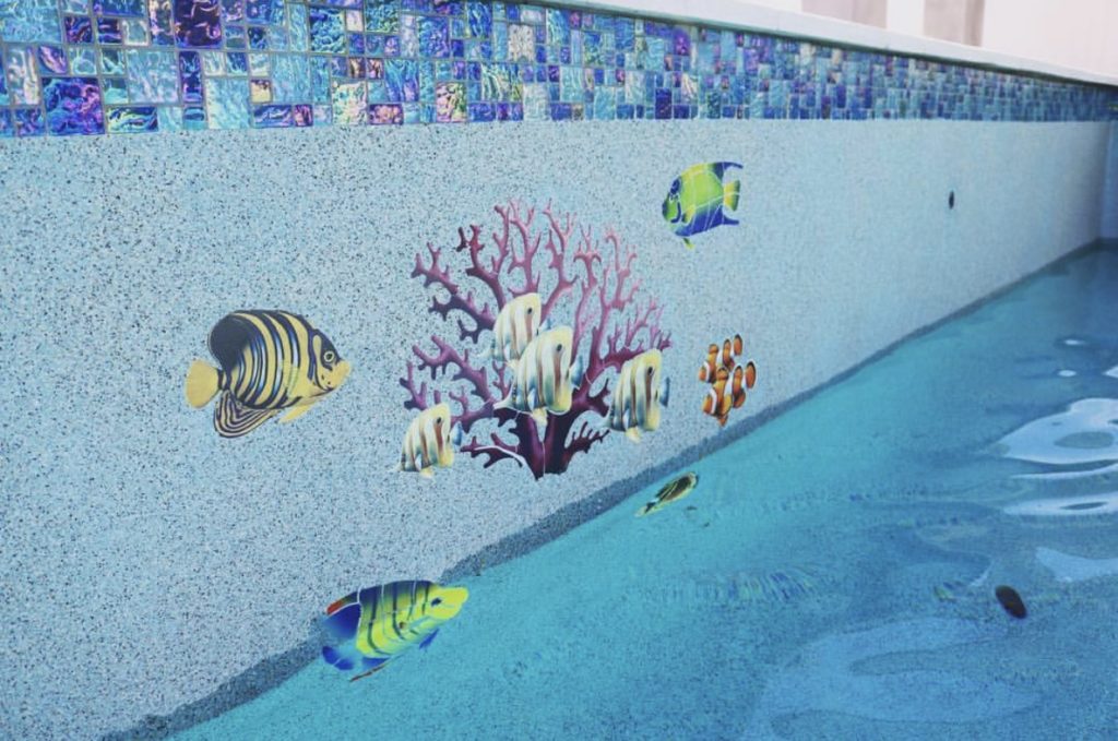 Pool Designs | Arizona | TMC Custom Pools and Renovations