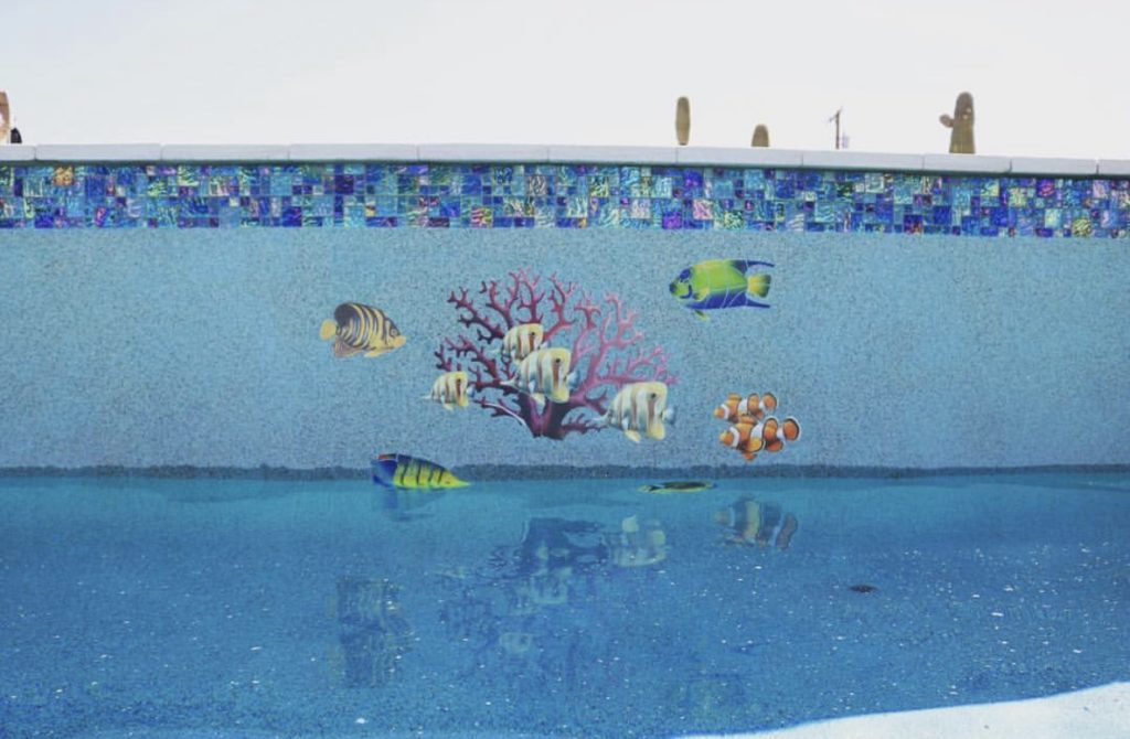 Pool Designs | Arizona | TMC Custom Pools and Renovations